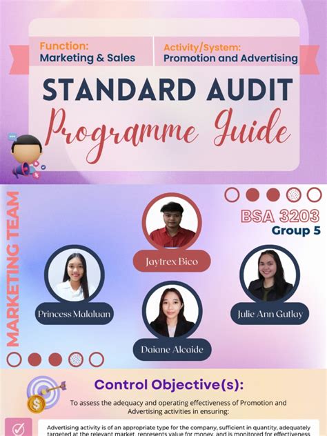 Standard Audit Programme Guide Pdf