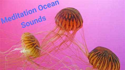 Meditation Ocean Sounds Meditation Ocean Sounds For Sleep Youtube Music