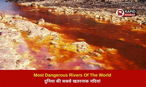 Most Dangerous Rivers Of The World दुनिया की सबसे खतरनाक नदियां