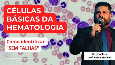 Hematologia Básica Como Identificar Leucócitos Youtube