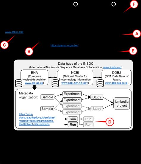 Summary Of The Submission And Retrieval Process For Nucleotide Sequence