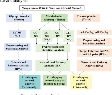Figure 1 From Multi Omic Pathway And Network Analysis To Identify Biomarkers For Hepatocellular