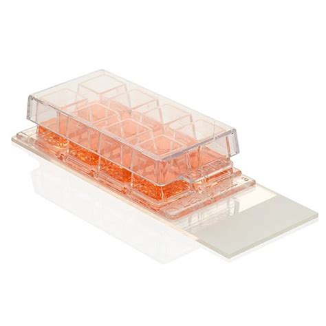 Nunc Lab Tek Chamber Slide System