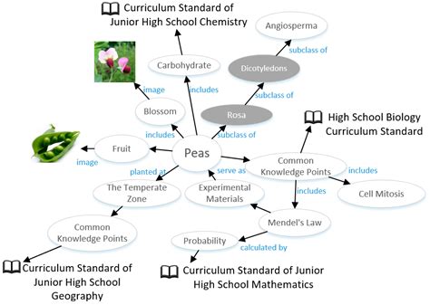 Applied Sciences Free Full Text Dynamic Generation Of Knowledge Graph Supporting Steam