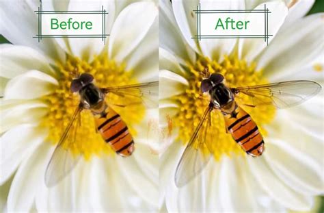 Top 5 Ai Video Upscaling Software For Stunning Videos In 2025