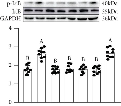 Melatonin Suppressed The Changes In Expression Levels Of Signalling