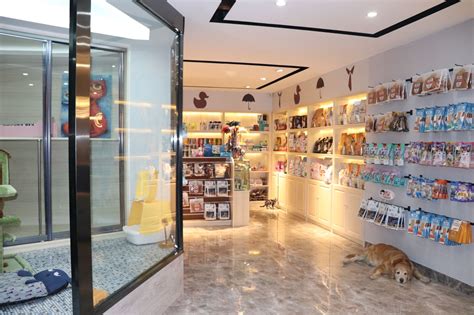 宠物店美容室 装修 第5页 大山谷图库