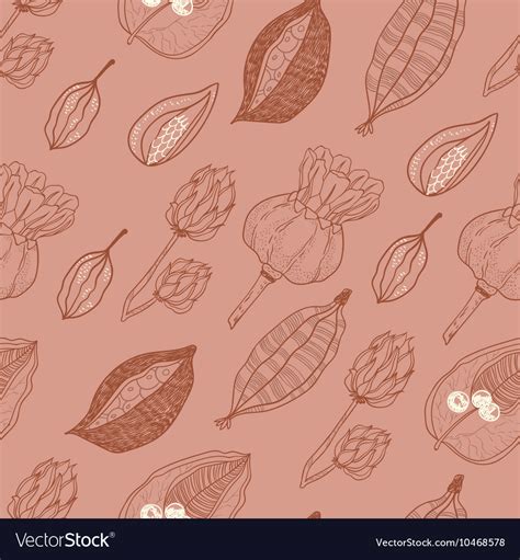 Seamless Pattern With Seeds And Seed Pods Vector Image