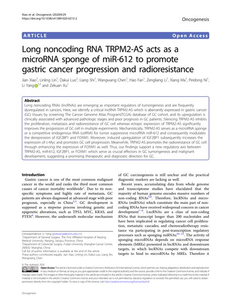 Pdf Long Noncoding Rna Trpm2 As Acts As A Microrna Sponge Of Mir 612