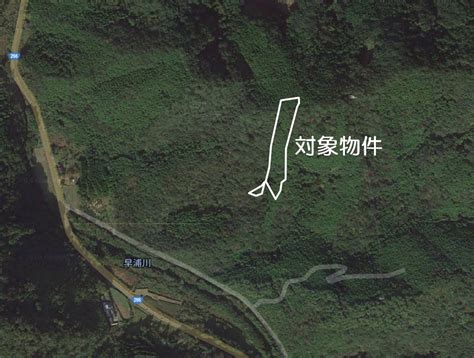 売土地 天草市河浦町路木 50万円