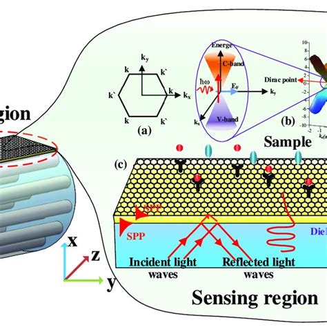 Fabry Perot Cavity Based On Bragg Grating And Fresnel Reflection Download Scientific Diagram