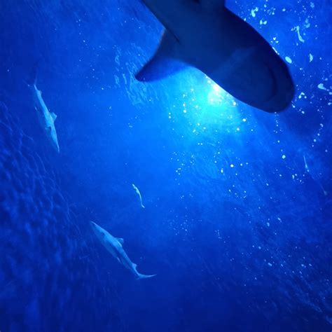 미뉴0603 Minew 프로필 Vworld 버추얼월드