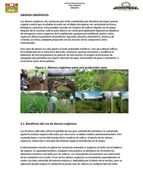 Abonos Orgánicos Pdf Fertilizante Suelo