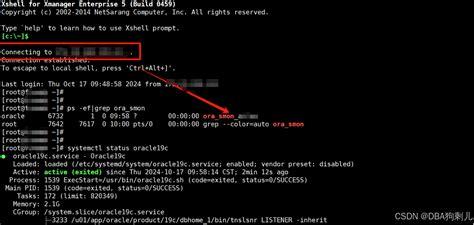 oracle 19c 配置开机自启动 oracle19c开机启动 csdn博客
