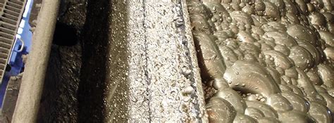 Froth Flotation Circuit Design And Basic Testwork Requirements Srk Consulting