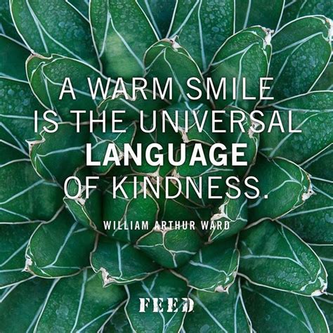94 Interesting Plain Language Quotes