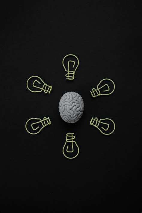 Understanding Brain Connectivity From Neurons To Networks