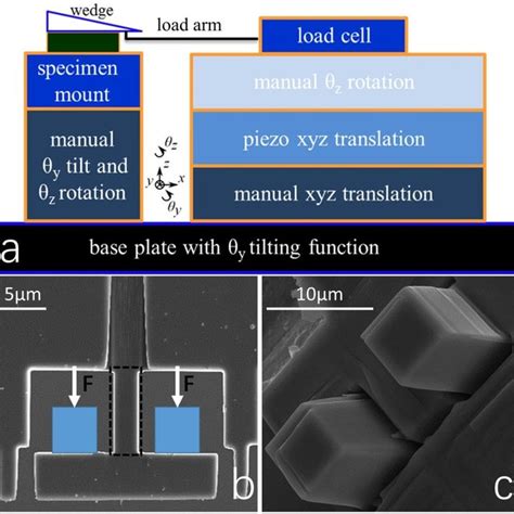 Nano Displacement Uniaxial Tensile Stage And The Applied Loading Of The Download Scientific