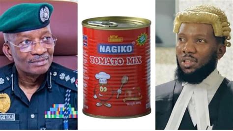 Igp Defies Court Order Unlawful Re Arrest Of Chioma Edoka Okoli