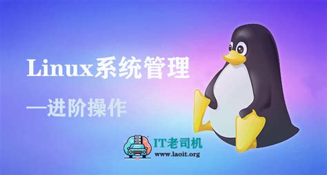 【linux系统管理】单网卡配置多ip地址记录 It老司机