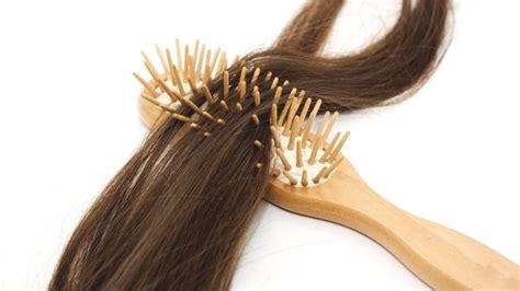 6 Cara Mengatasi Rambut Rontok Dengan Mudah Melukis Senja