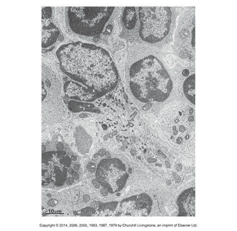 Quiz 3 5 Diagram Quizlet