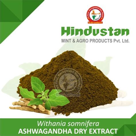 Ashwagandha Dry Extract Manufacturer Exporter India Usa Cas 90147 43 6