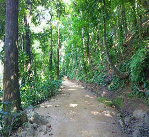 Udawatta Kele Sanctuary A Hidden Gem In The Heart Of Kandy Sri Lanka