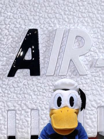 San Pito Pato 🦆 San Pito Pato Tiktok