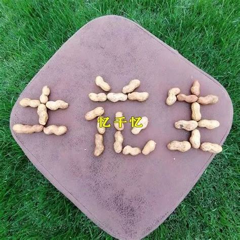 忆千忆杭州千岛湖农林土特产焖煮烘干土花生香脆零食炒货5包 虎窝淘