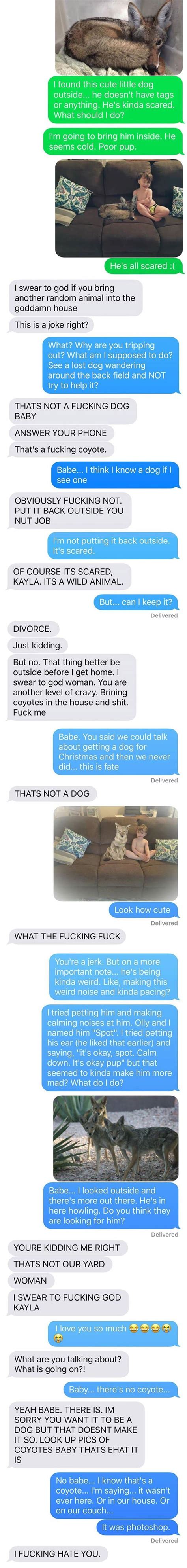 20 Funny Pranks By Couples Who Are Not Afraid To Put Their Relationship