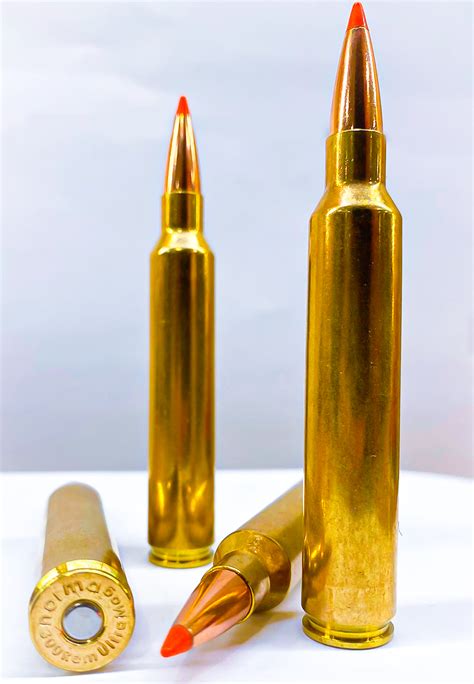 Mead 300 RUM 180gr Bonded AERO TIP Hunting Ammo 20 Round Box Peterson
