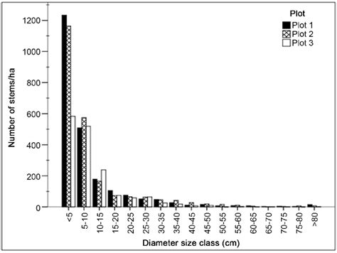 Diameter Size Class Distribution Of Trees Of The Study Site In The Ddnp