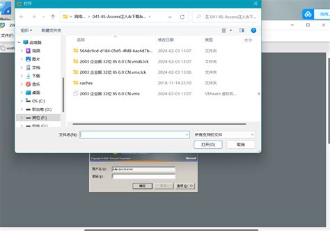 041 Web攻防 Asp应用andsysand短文件and文件解析andaccess注入and数据库泄漏攻防 Asp 可利用文件 Csdn博客