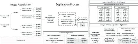 Protocols For Reliability Analyses Download Scientific Diagram