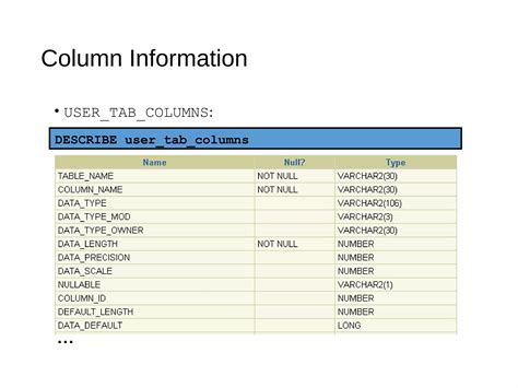Managing Objects With Data Dictionary Views Ppt