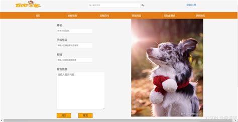 原生js实现期末网页大作业——宠物之家 javascript网页设计期末大作业 csdn博客