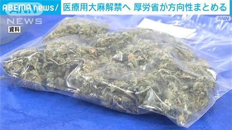 医療用大麻解禁へ 厚労省が方向性まとめる