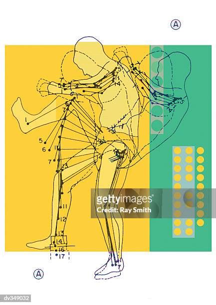 Body Movement Diagram