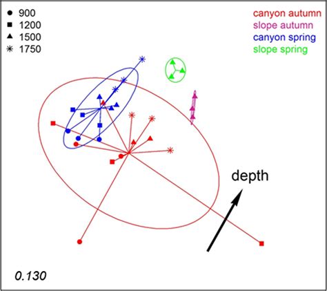 Spatio Temporal Monitoring Of Deep Sea Communities Using Metabarcoding