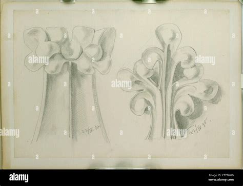 Alfred Castelliz Zeichner In Gothic Construction Detail And Leaf