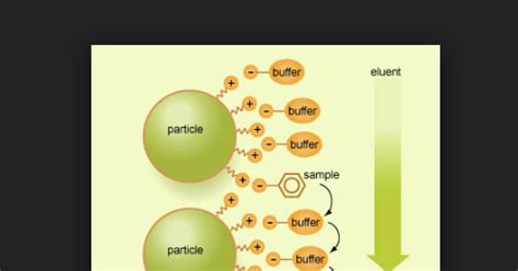 Functions Of Buffers In Reverse Phase HPLC Separations INSIDE CHEMISTRY