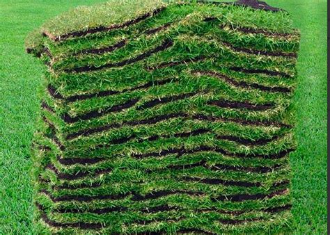 How Many Square Feet In A Pallet Of Sod Fiktif
