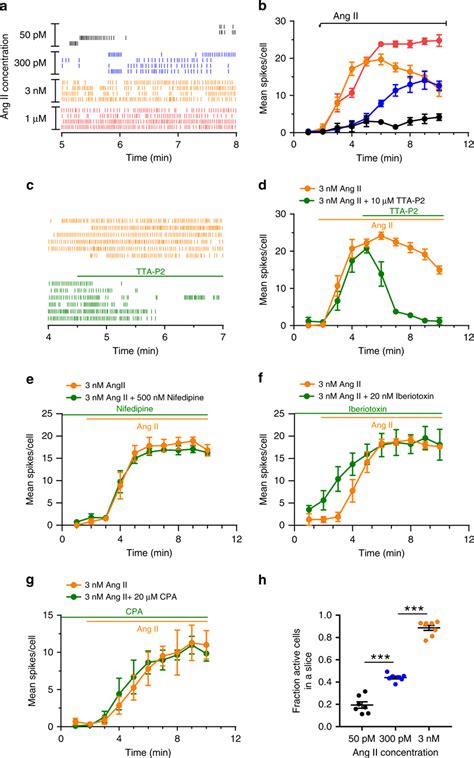 Calcium Spikes Elicited By Ang Ii Are Dose Dependent And Require Cav3
