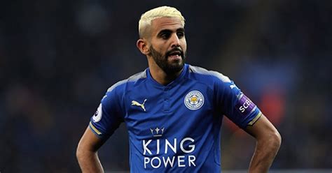 알제리 감독 마레즈 레스터 훈련장 복귀하라