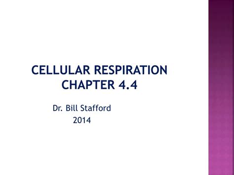 Ppt Cellular Respiration Chapter 44 Powerpoint Presentation Free