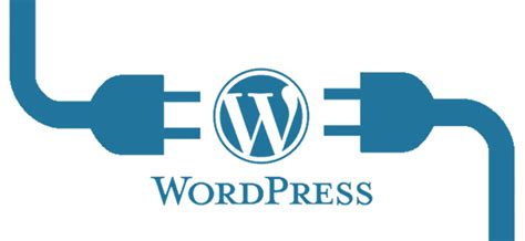 Plugin Selection Strategy Essential Tools Vs Site Killing Bloat