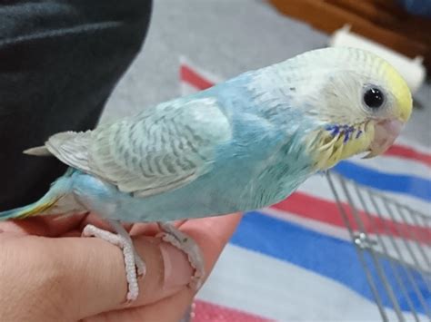 保護されました。ありがとうございます。