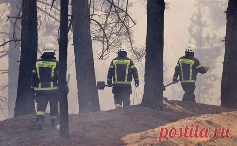 В Забайкалье завели дело из за пропавших при тушении леса пожарных В Новости Постила