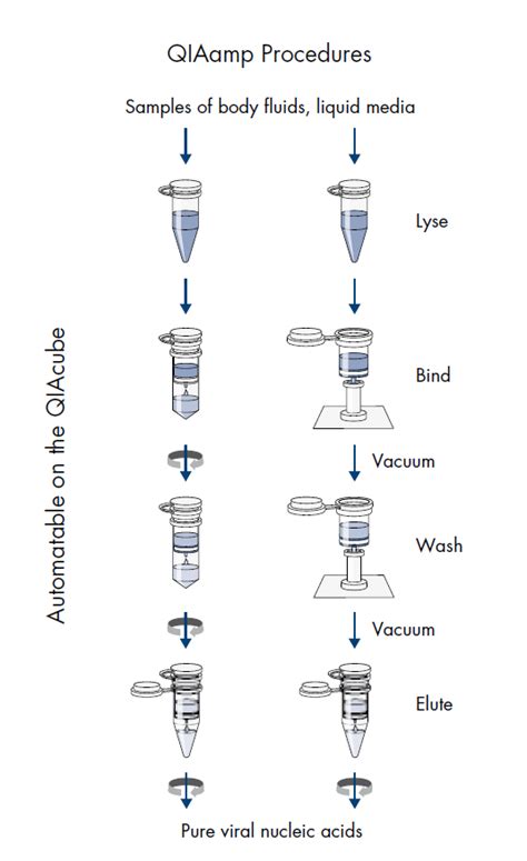 Qiaamp Viral Rna Mini Kit